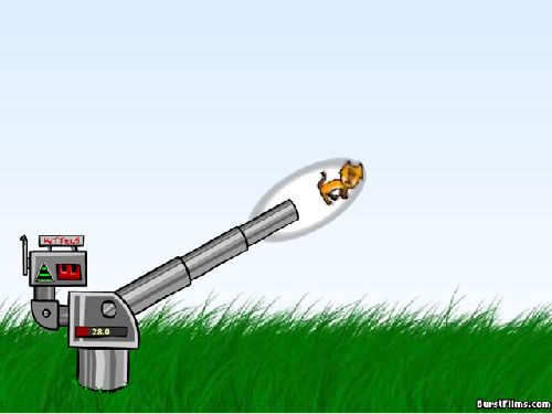 Kitten Cannon - baconfrito